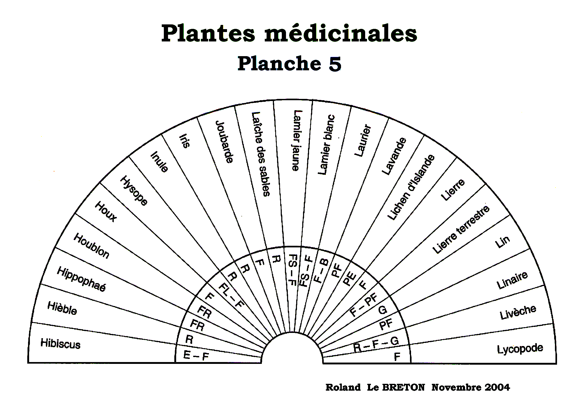 Santé et Bien être "la Phytothérapie holistique"